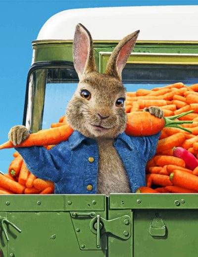 Peter Rabbit With Carrots | Art Of Paint By Numbers