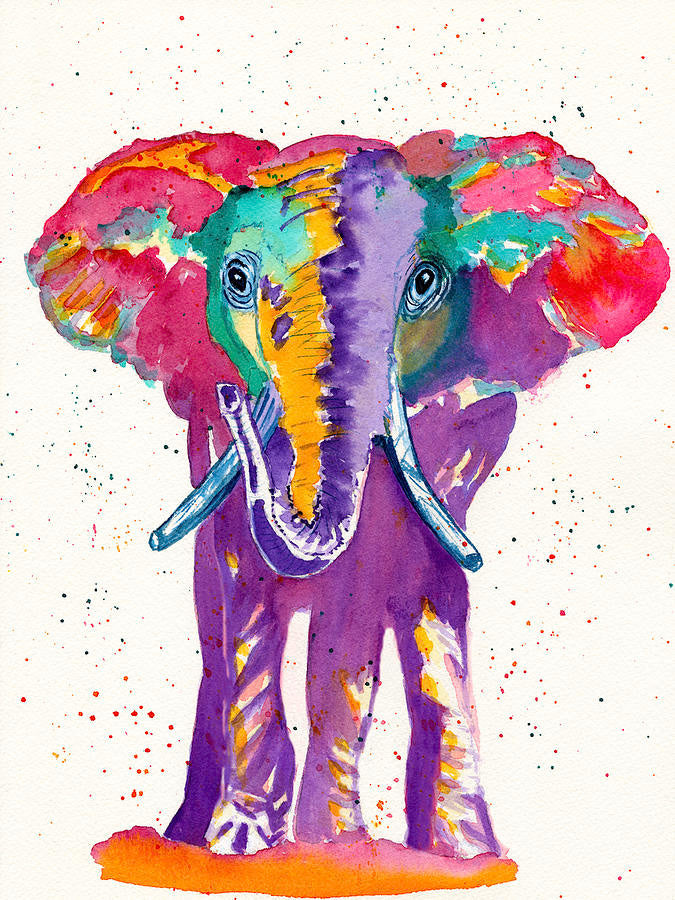 Cute Elephant Paint By Numbers Kit | Art Of Paint By Numbers