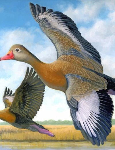 Flying Ducks | Art Of Paint By Numbers