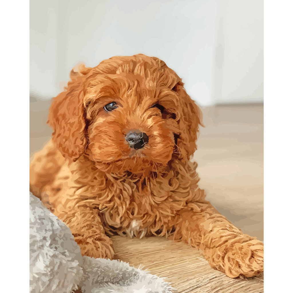 Brown Cavoodle Puppy Painting | Art Of Paint By Numbers