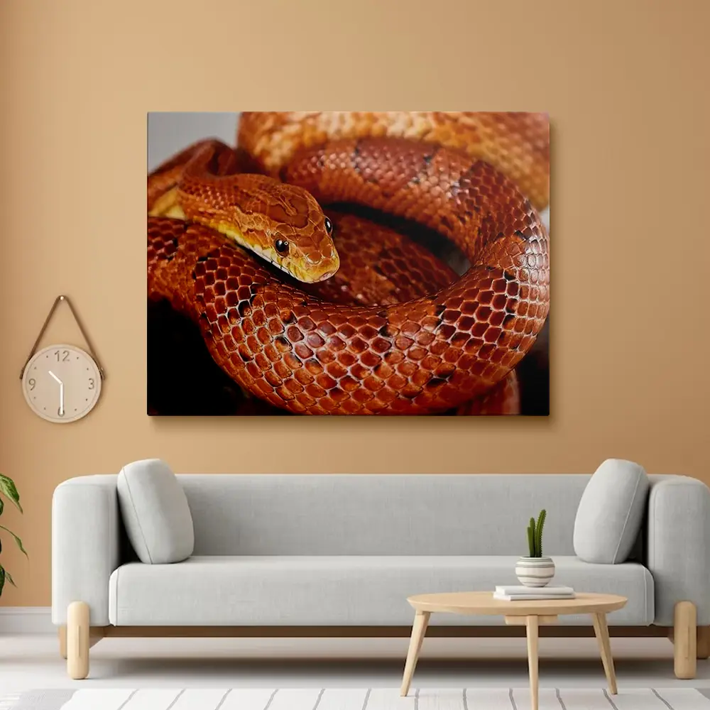 Snake Painting | Art Of Paint By Numbers